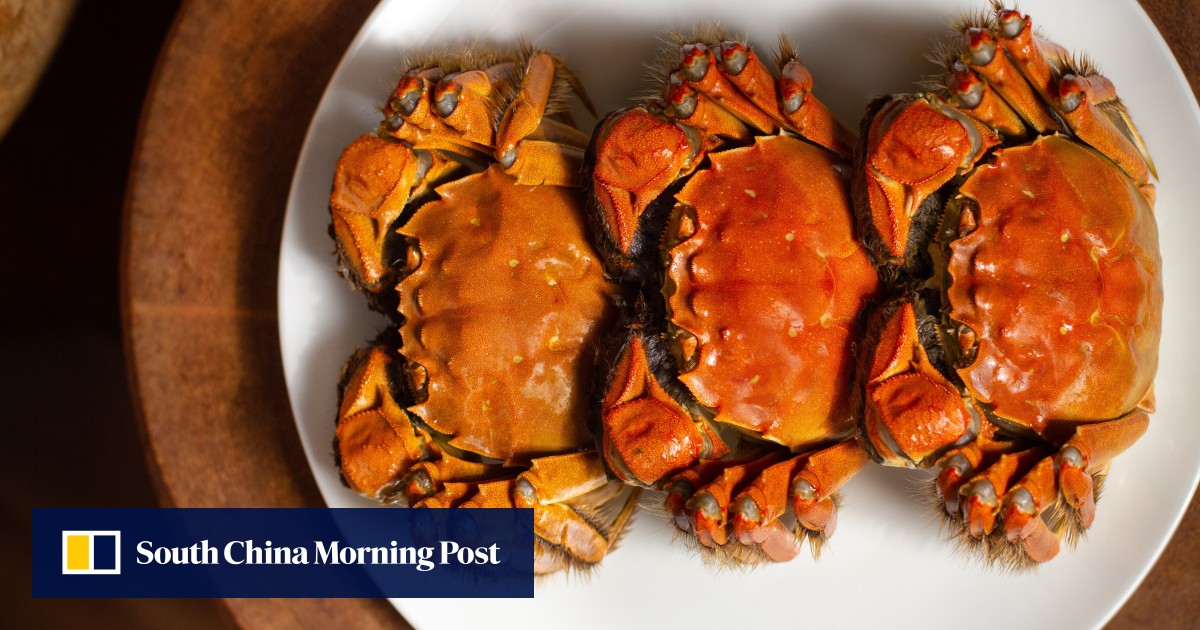 Hello, hairy crab season: how to eat the Chinese seafood speciality ...