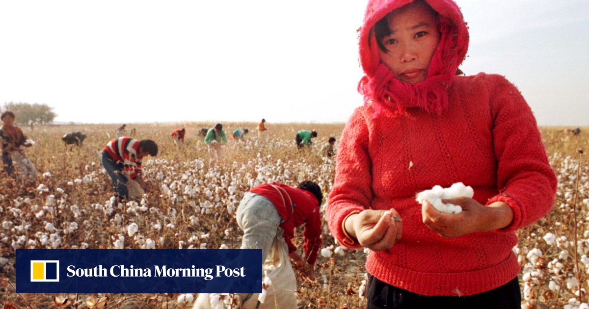 Xinjiang: deadline passes for US firms to cut XPCC from supply chains ...