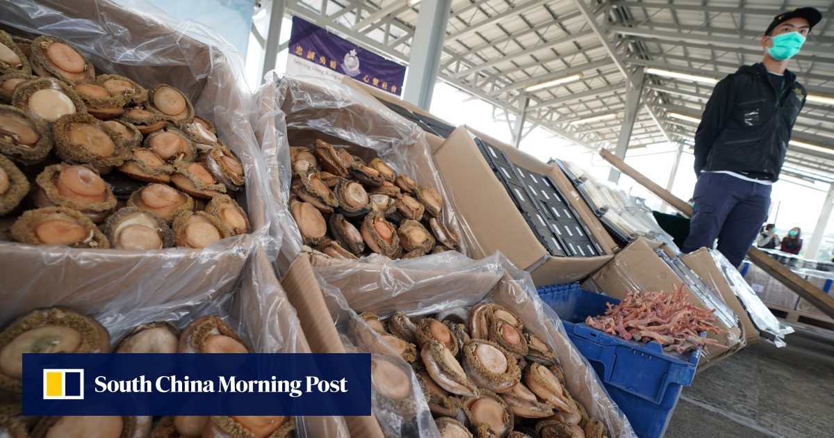 Hong Kong’s biggest seaborne smuggling seizure in over a decade brings ...