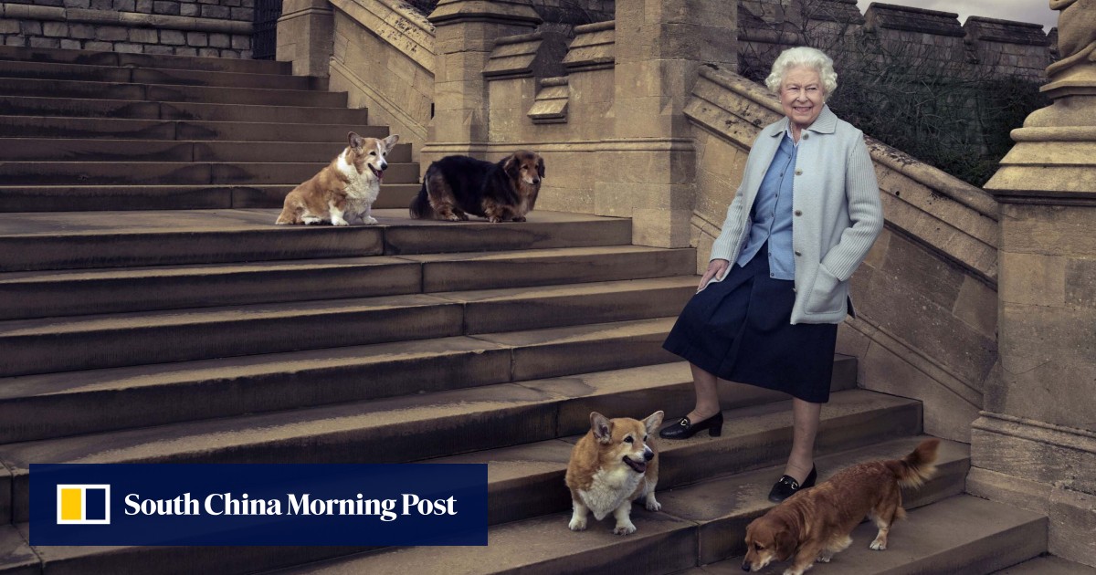 The crown pets: Britain’s Queen Elizabeth loves dogs so much that ...