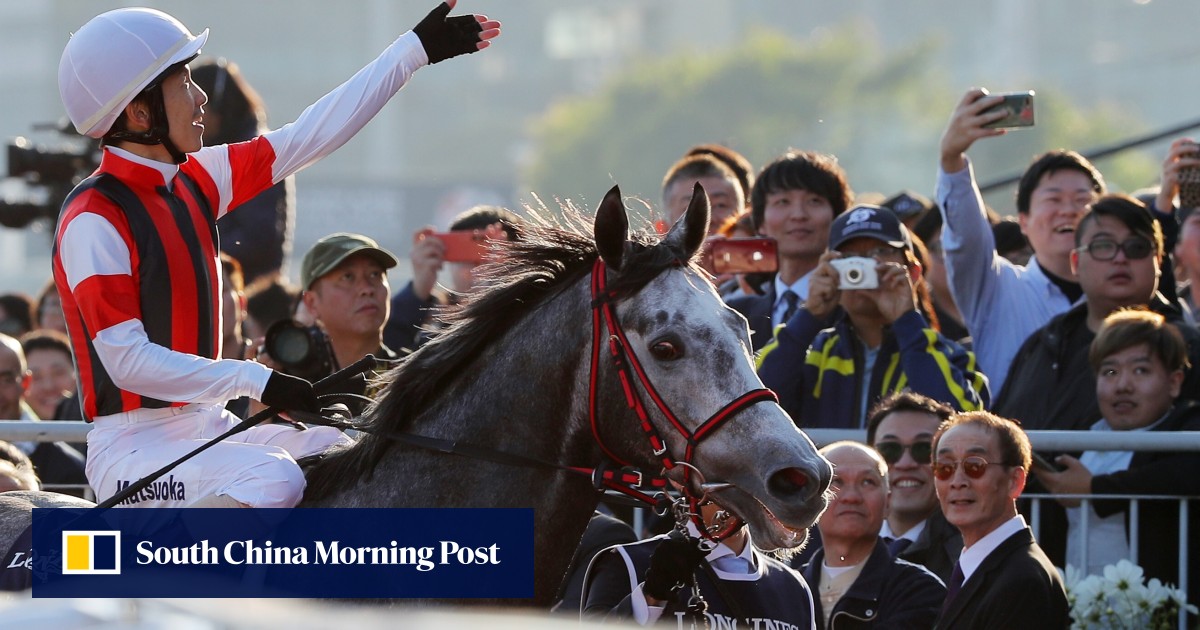 HKIR: Watch the last start of every Hong Kong Cup runner, including ...