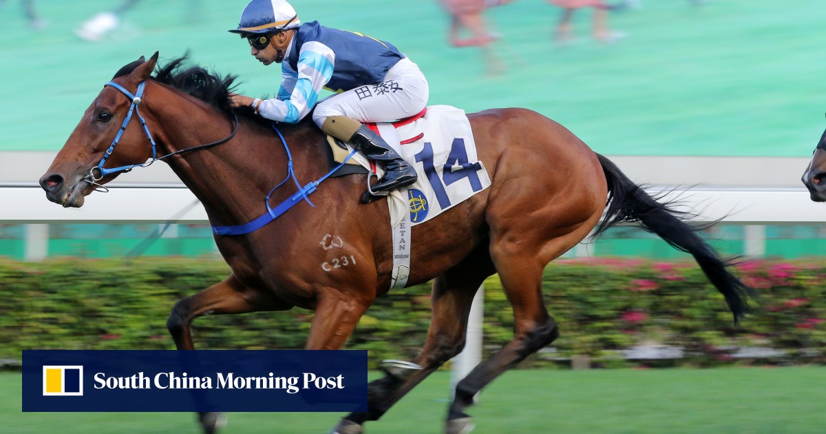 Jimmy Ting’s theory on why consistent Ballistic King doesn’t often win ...