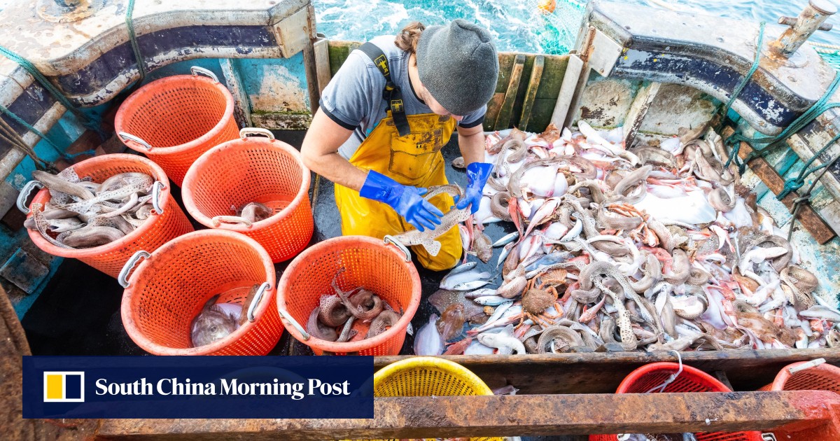 British fishermen say PM Boris Johnson sold out sector in Brexit trade ...