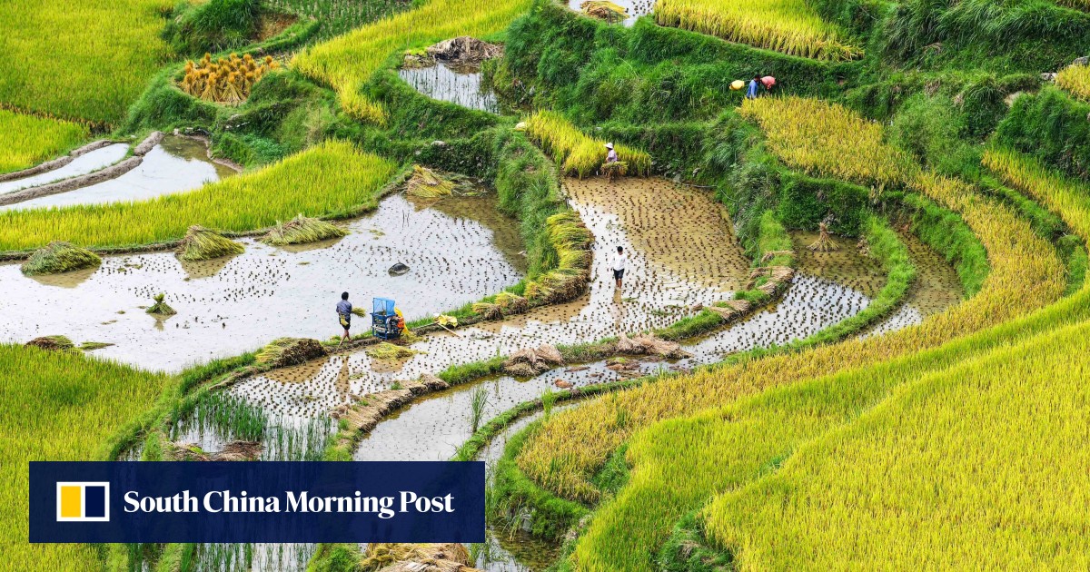 China’s Xi Jinping vows new push to revitalise rural economy in post ...