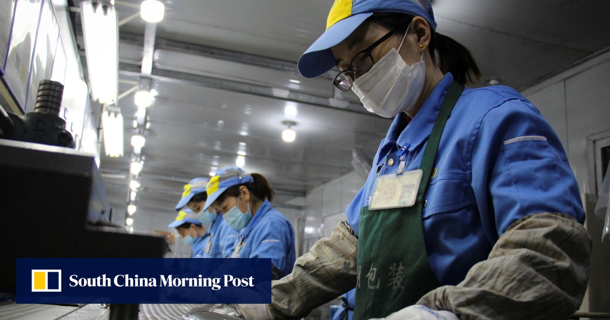 China’s economic activity slowed modestly in December, new data shows ...