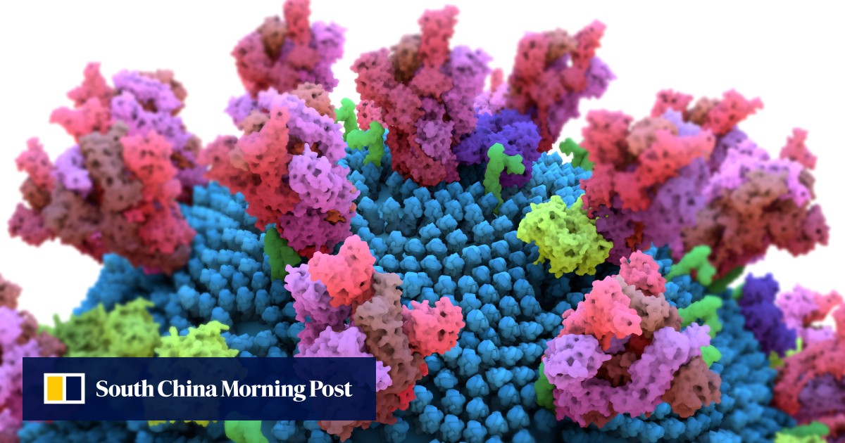Chinese scientist’s spike protein research paves way for Covid-19 ...