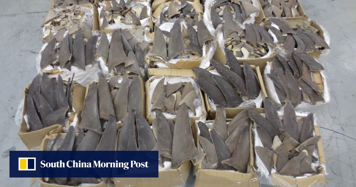 Hong Kong authorities make first major maritime smuggling bust of the ...