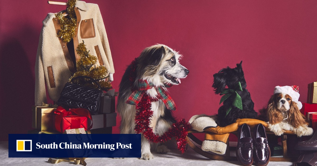 Chinese ‘lipstick king’ Li Jiaqi’s dogs getting signed to an agency ...