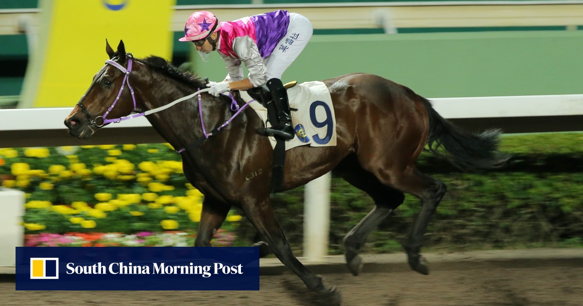 Chris So’s Foodie Princess out to add to formidable all-weather record ...