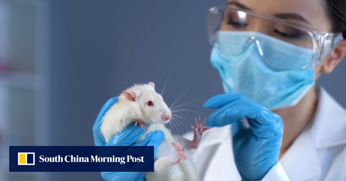 Gene therapies which could delay ageing in people suggested by Chinese ...