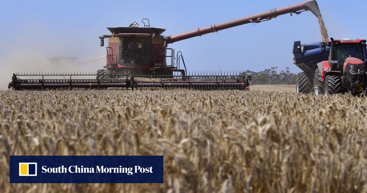 China-Australia relations: wheat shipments to grain-hungry China surge ...