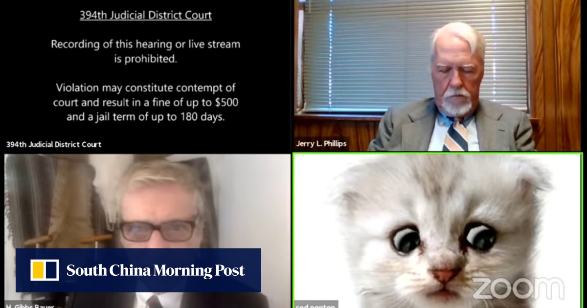 Lawyer tells judge ‘I’m not a cat’ in viral video as he struggles with ...