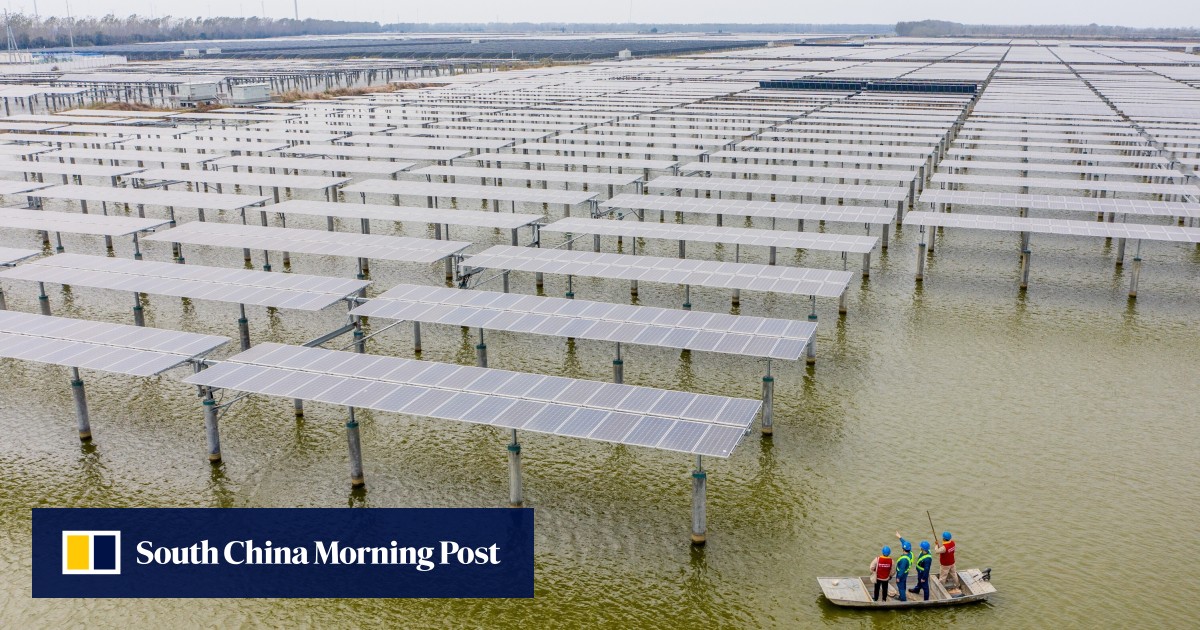 Letters | Why global rush to create green infrastructure may backfire ...