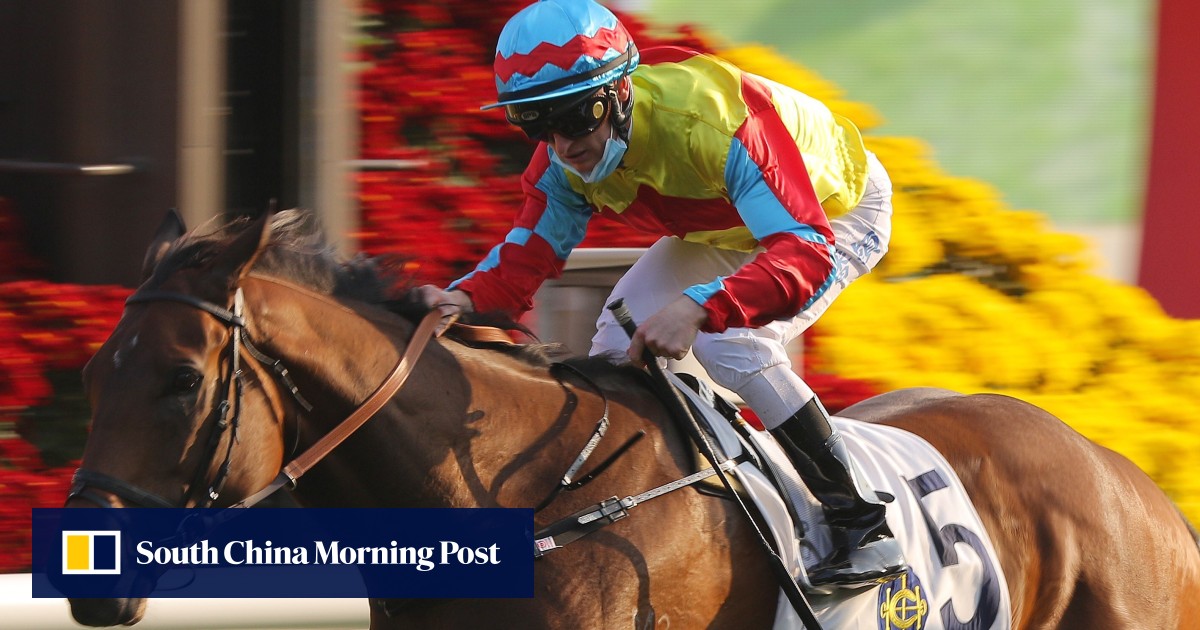 Champions Day possible for Wellington: ‘these are the ones that get you ...