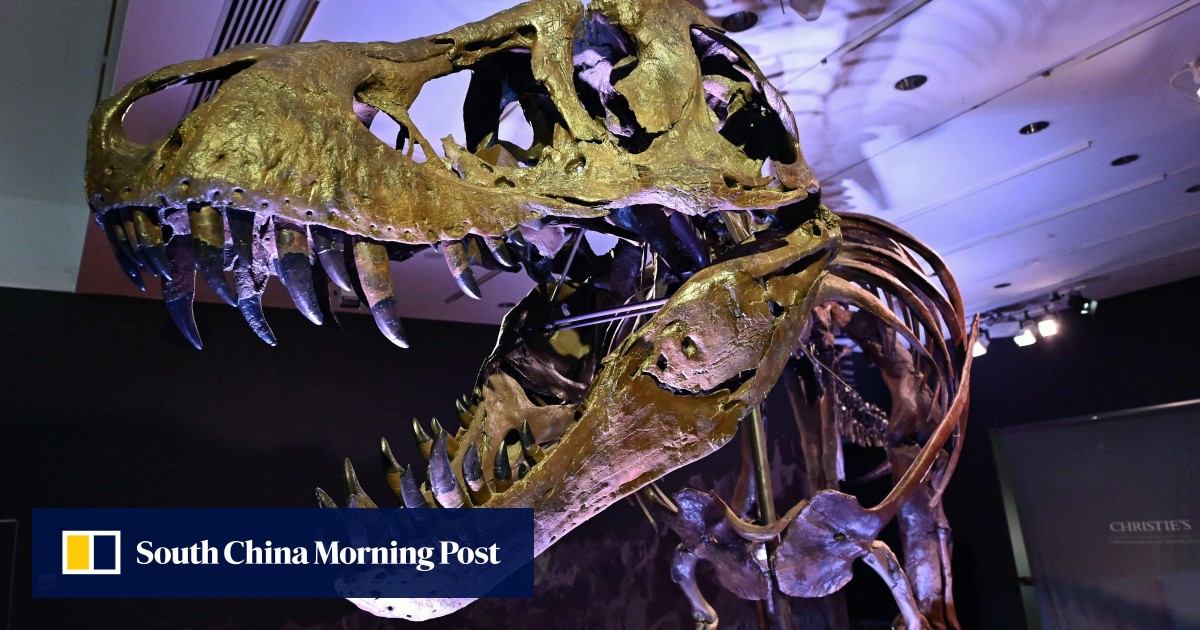 Comet from edge of solar system killed the dinosaurs, Harvard ...