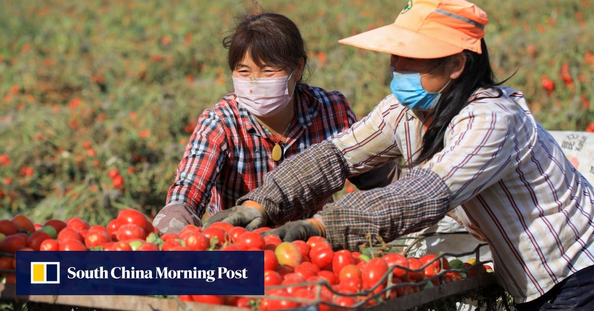 China’s food security at core of Beijing’s new five-year rural ... China’s food security at core of Beijing’s new five-year rural ...