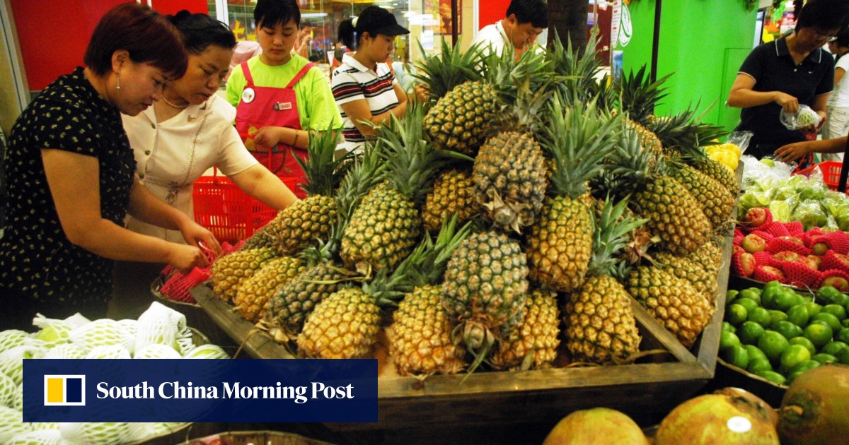 China bans Taiwanese pineapples over biosafety fears | South China ...