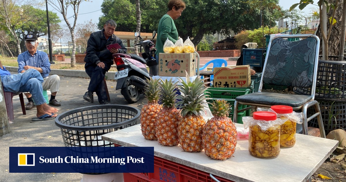 China’s ban on Taiwanese pineapples sours sentiment towards Beijing ...