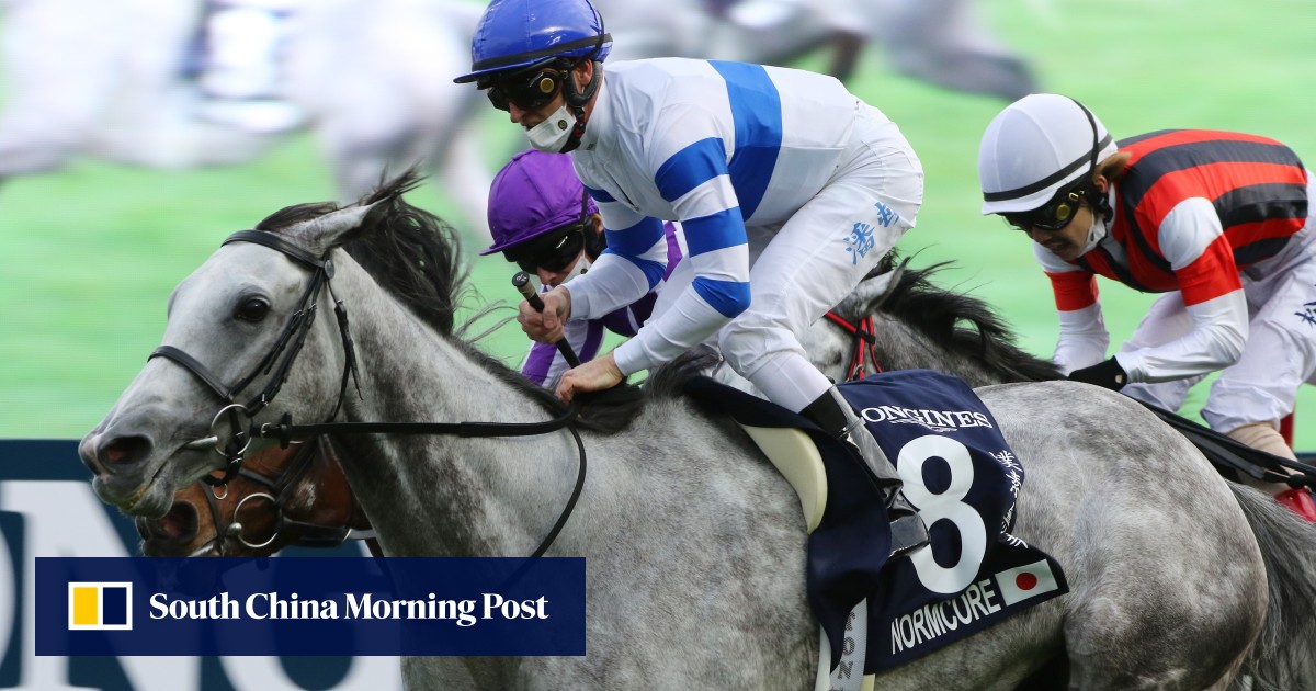 HKJC breakthrough sees racing bubble open Champions Day doors for ...