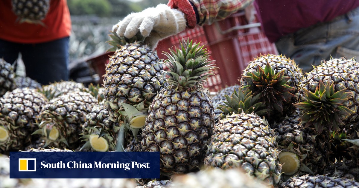 ‘If they want peaceful exchanges, they shouldn’t have banned our ...