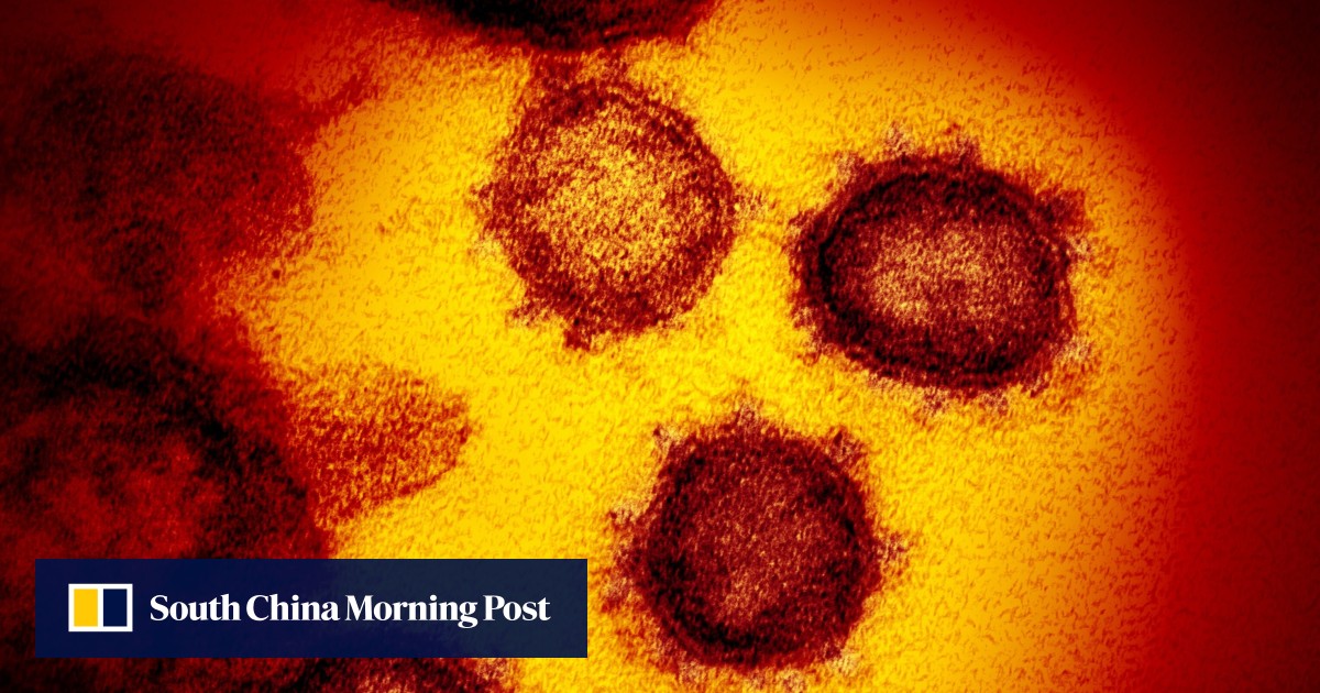 China finds first cases of new coronavirus variant in Guangdong ...