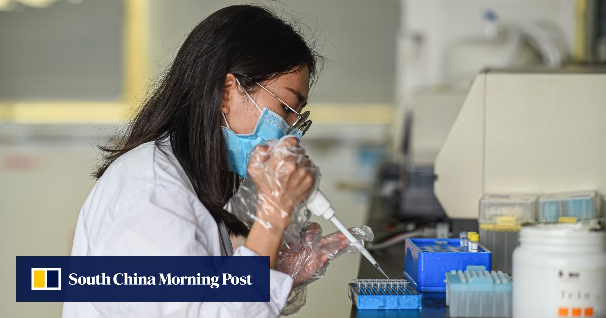 China encourages its universities to take initiative in international ...