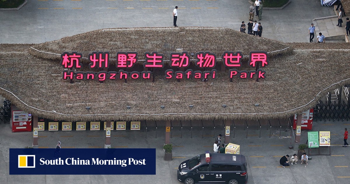 Leopard stays one step ahead in east China game of big cat and mouse ...