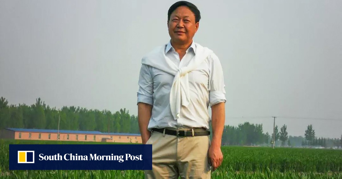 Chinese billionaire Sun Dawu faces decades in jail, legal team say ...