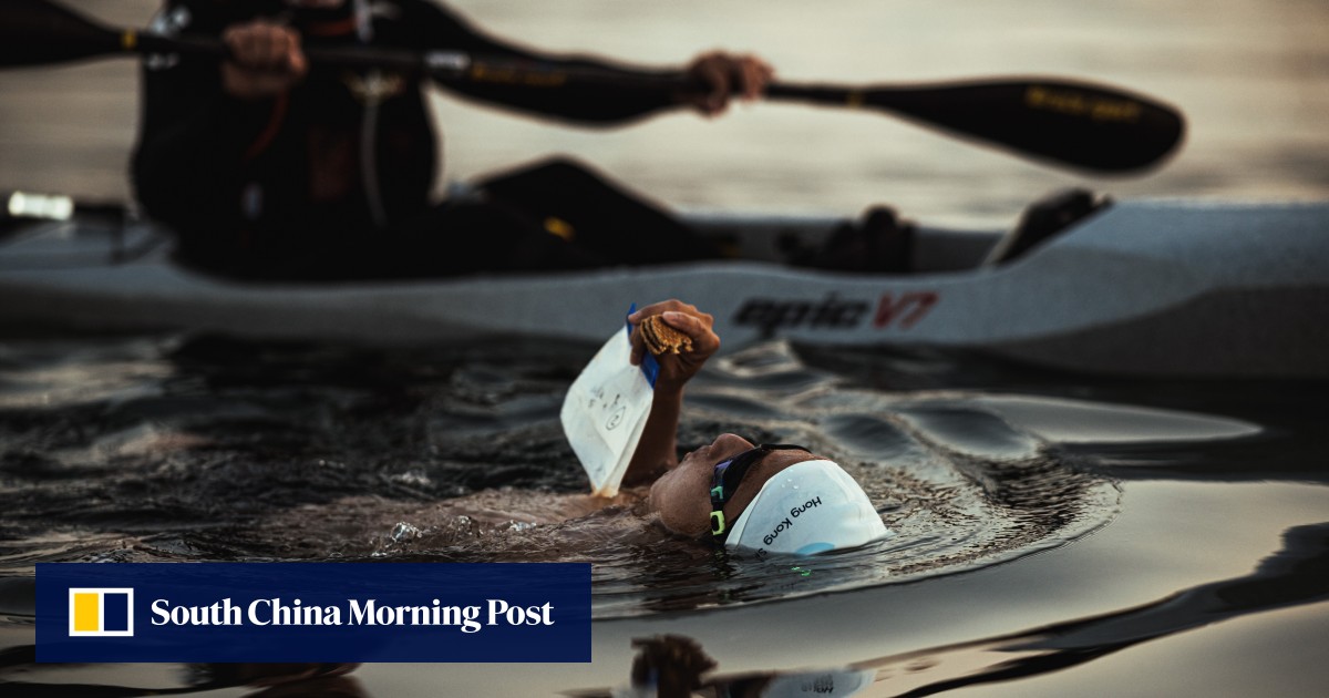 Hong Kong swimming legend Alex Fong to lead St Joseph’s College alumni ...