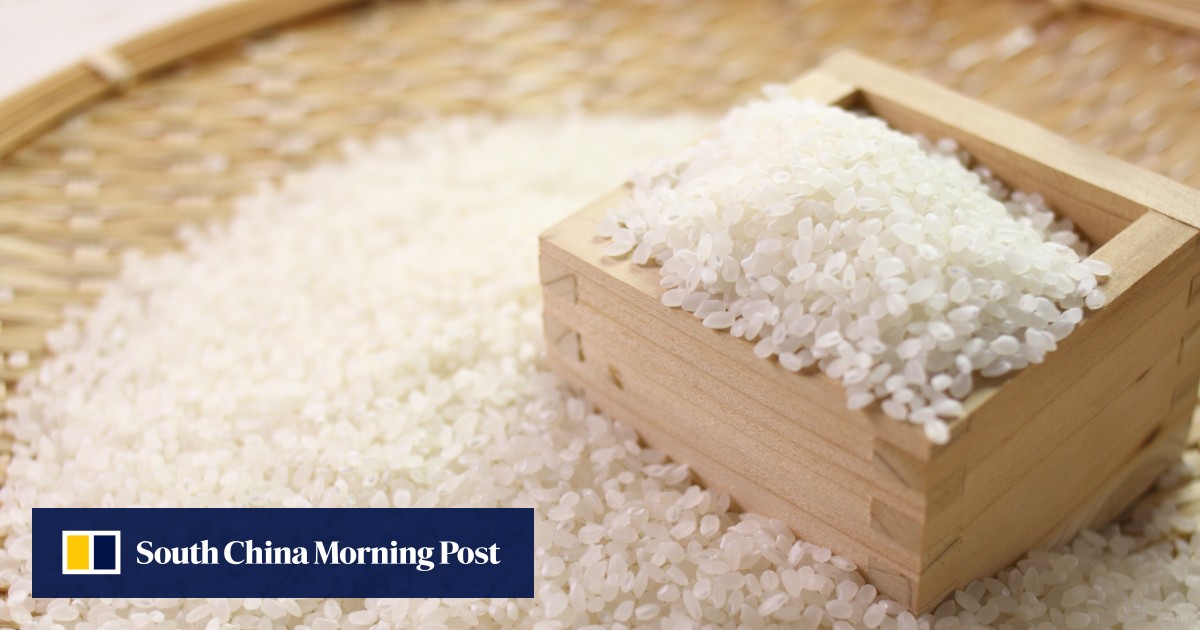 Japanese rice growers turn to China as home market shrinks | South ...