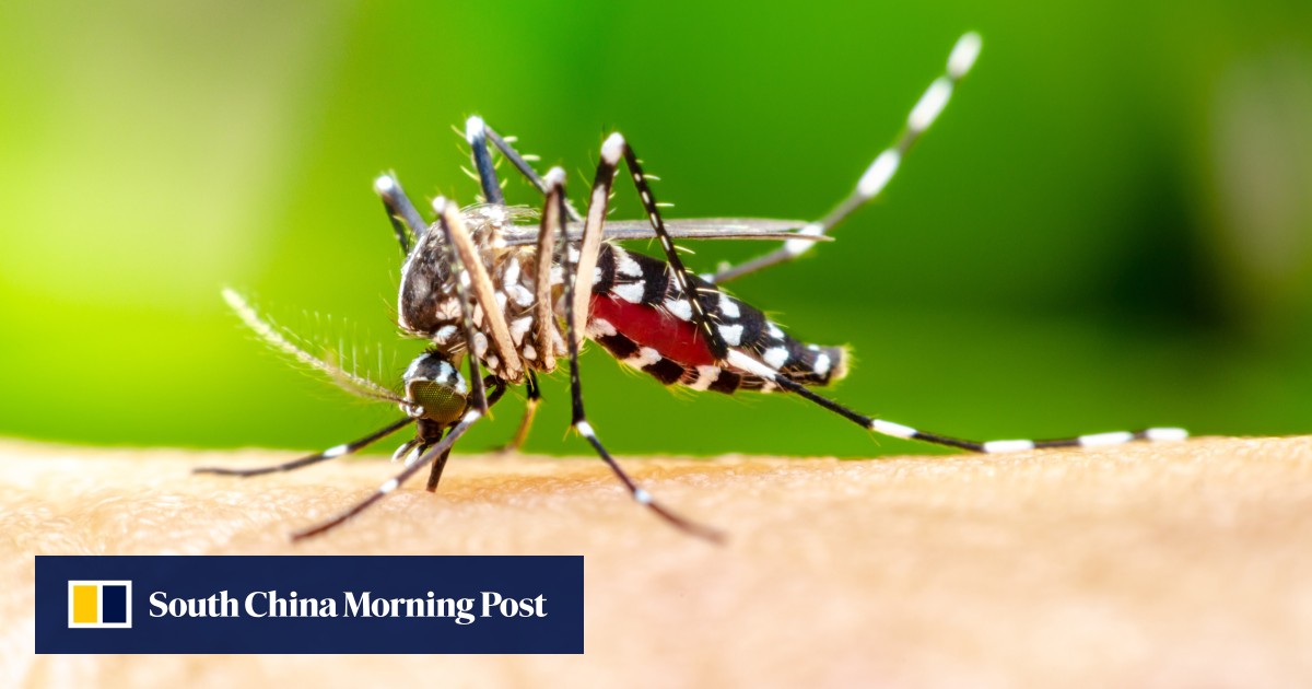 China beats malaria, eliminating disease after decades of effort ...