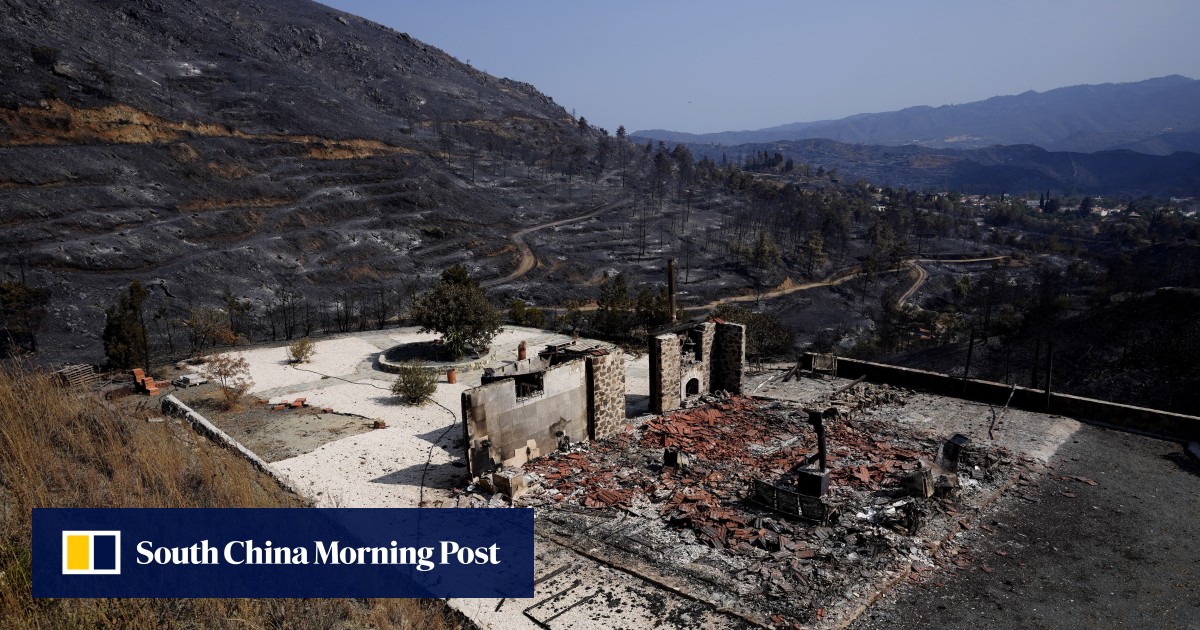 ‘Pure hell’: charred aftermath of worst Cyprus forest fire in decades ...