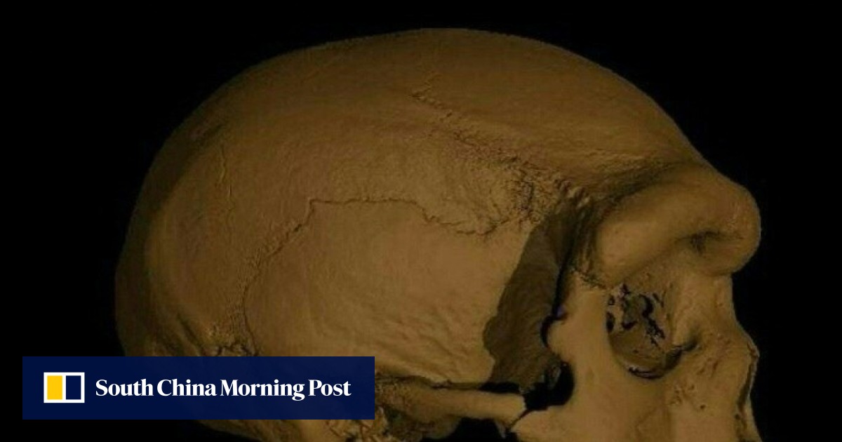 When scientists came face to face with China’s Dragon Man fossil for ...