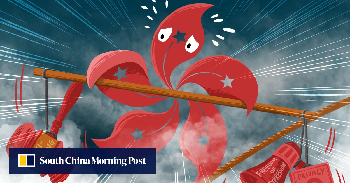 Hong Kong gets serious on cyber harassment, but are tech giants right ...