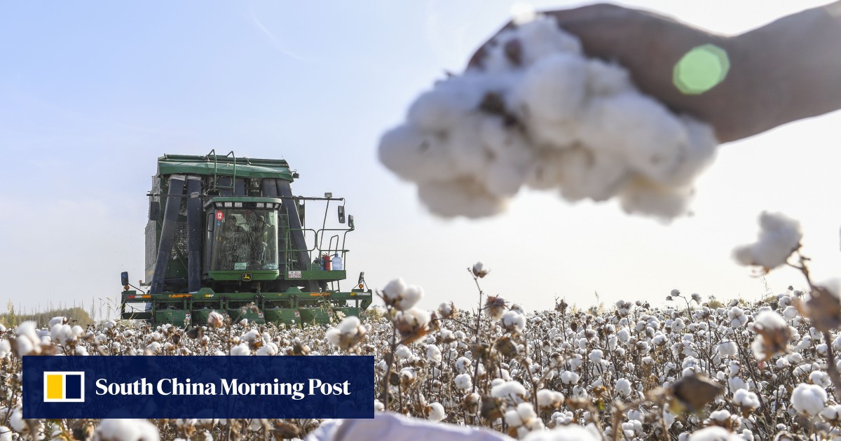 Hong Kong’s Esquel Group seeks preliminary injunction over US ...