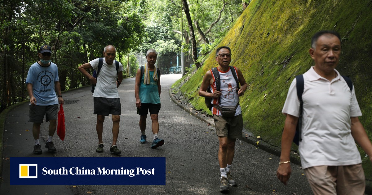 Wild boar bites Hong Kong hiker who stopped for photos of scenery ...