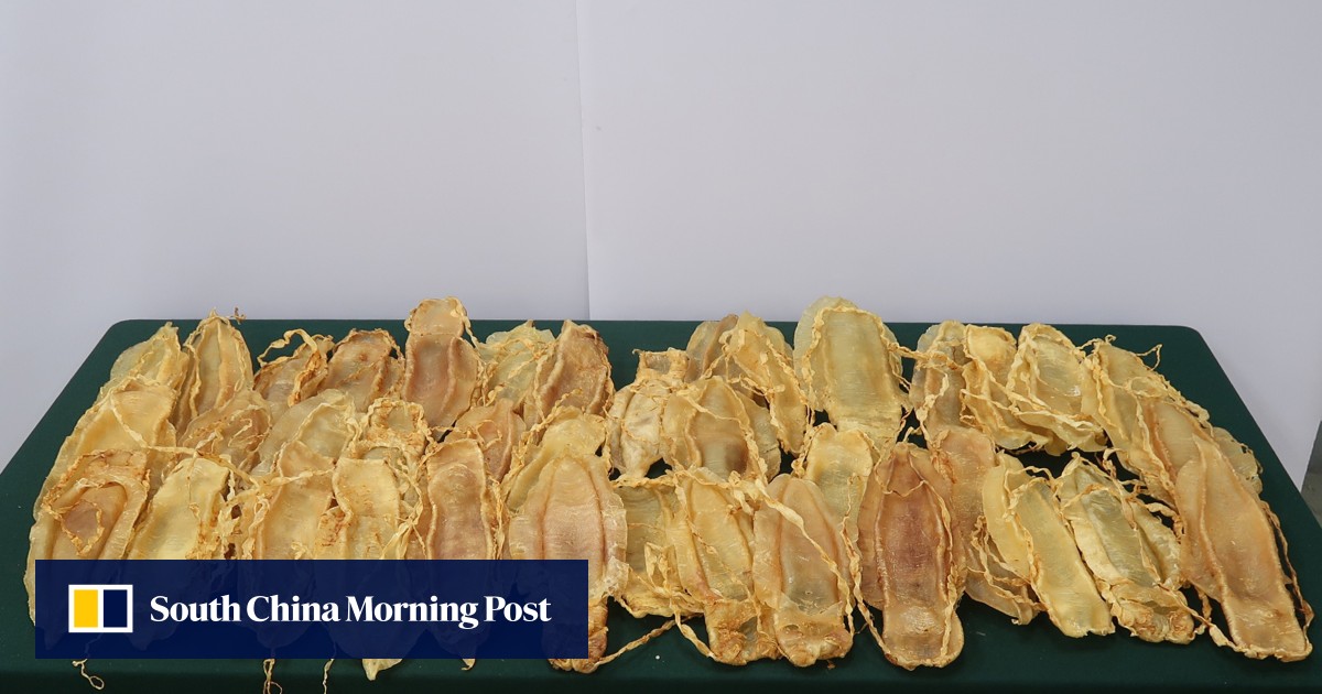 Hong Kong customs seizes HK$3.3 million worth of fish bladders from ...