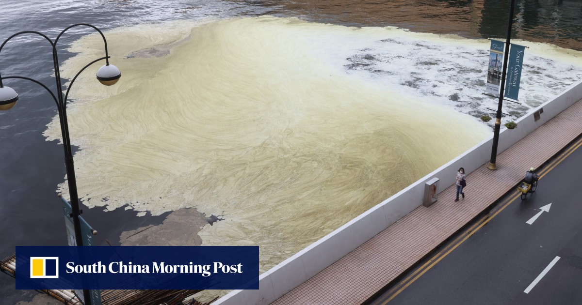 More coastal areas of Hong Kong hit by red tides but experts unsure of ...