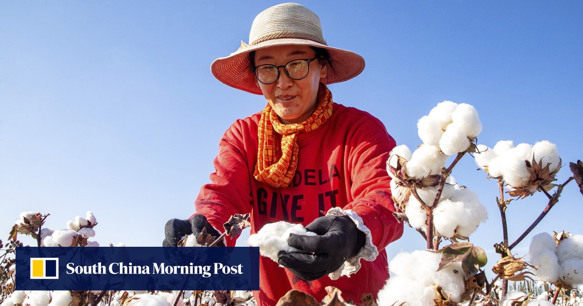 Nike’s former supplier Esquel Group scores a rare win in a bid to remove Xinjiang unit from US ...