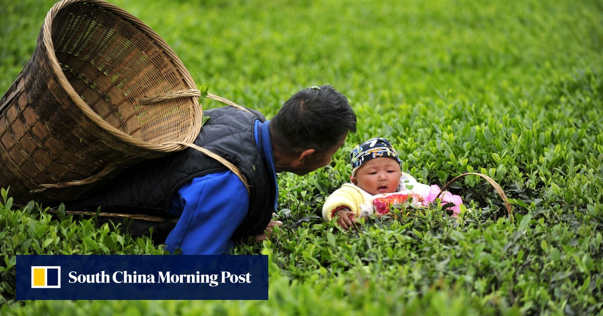 China supply chains: Hubei takes lead in appointing bank executives to ...