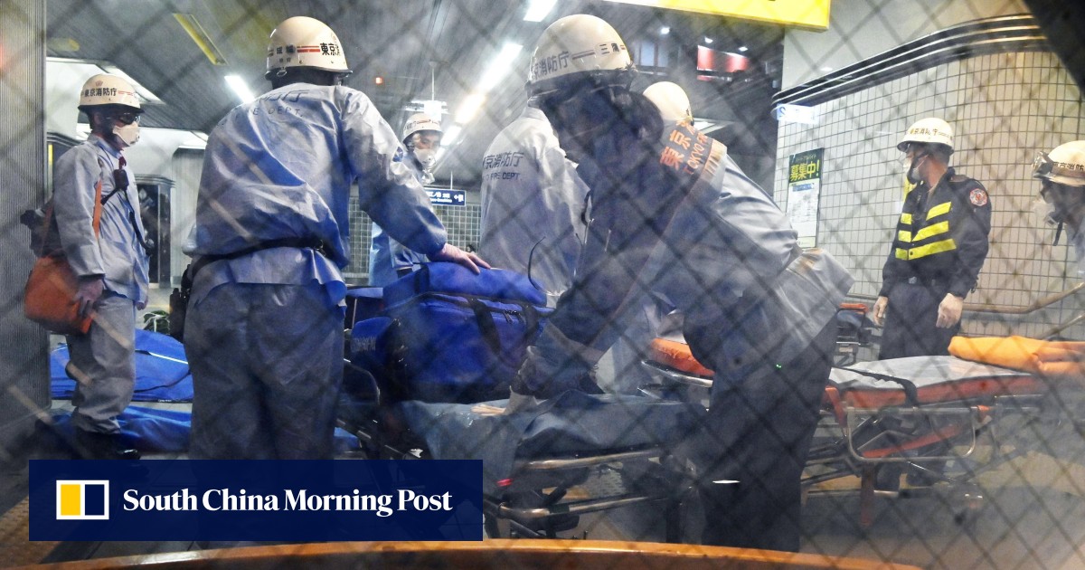 Man arrested for stabbing 10 passengers on Tokyo train wanted to kill ...