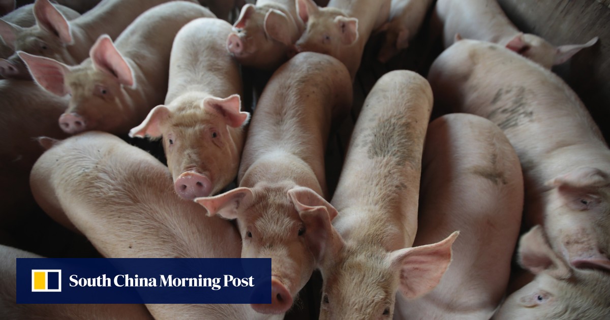 WH Group’s founder quits, leaving world’s biggest pork producer without ...