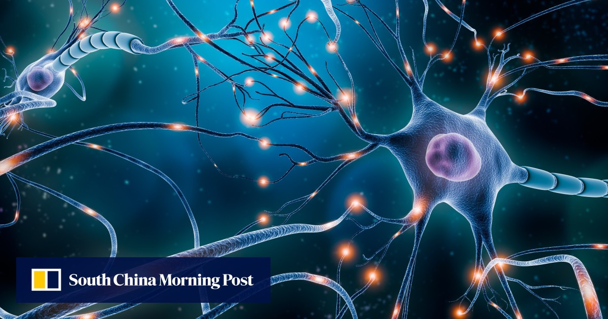 Chinese stem cell treatment that ‘helped woman in wheelchair walk again ...