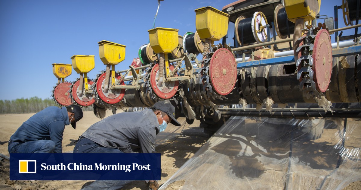 Hong Kong shirtmaker Esquel Group resumes lawsuit in bid to remove Xinjiang unit from US forced ...