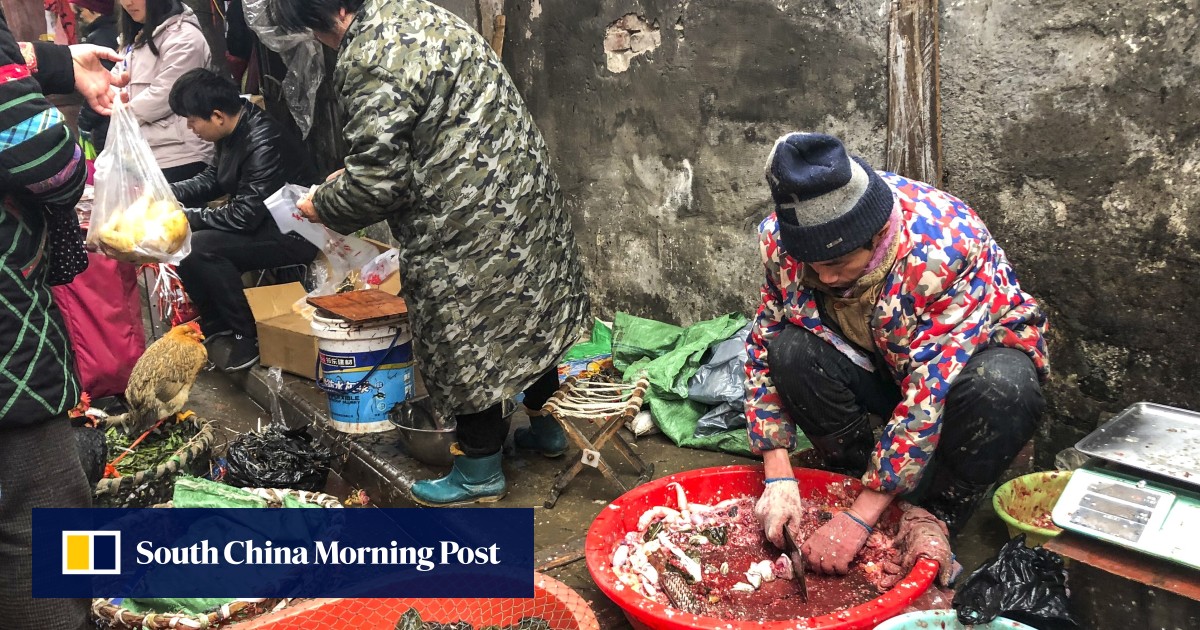 What can stop people eating wild animals? A new study looks for answers ...