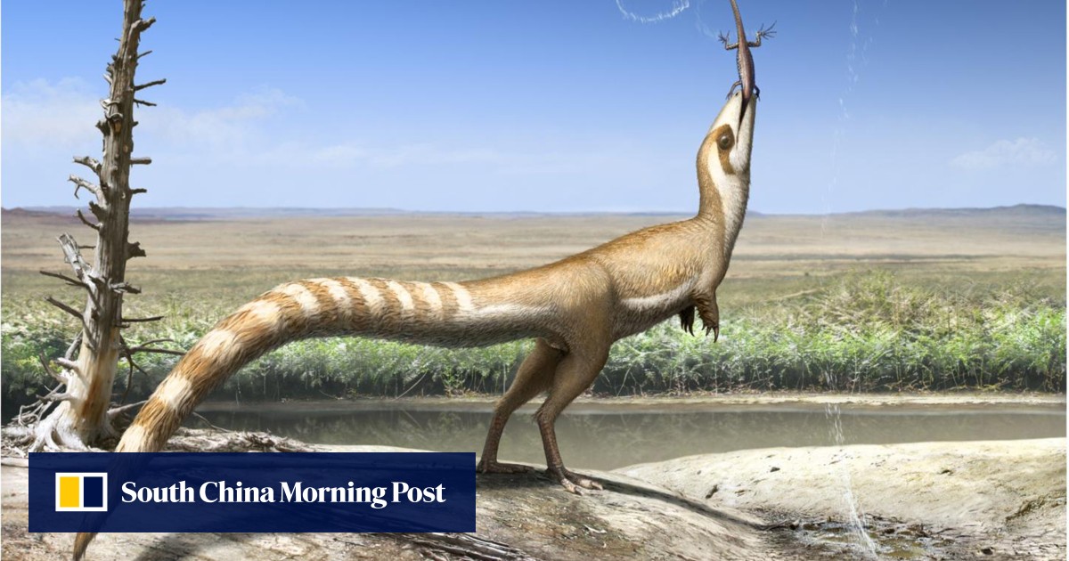 How China helped prove once and for all that dinosaurs had feathers ...