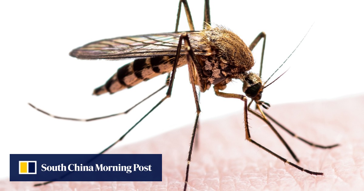 China eliminated malaria. Could it be a model for the rest of the world ...