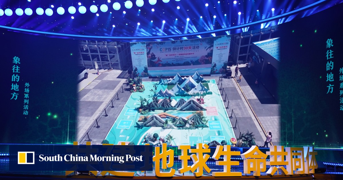 COP15 conference: China promises declaration on biodiversity at UN ...