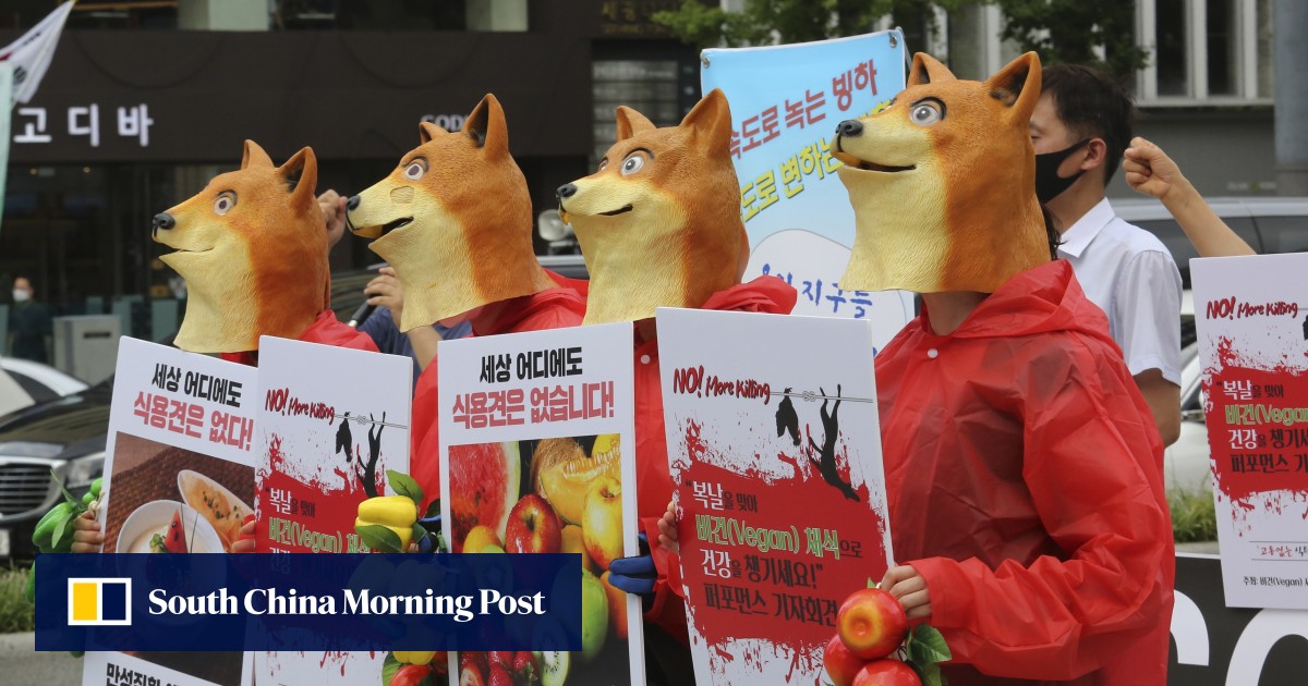 South Korea may ban dog meat consumption amid debate over animal rights ...