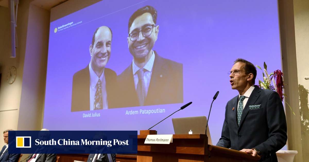 Nobel Medicine Prize awarded to US scientists David Julius and Ardem ...